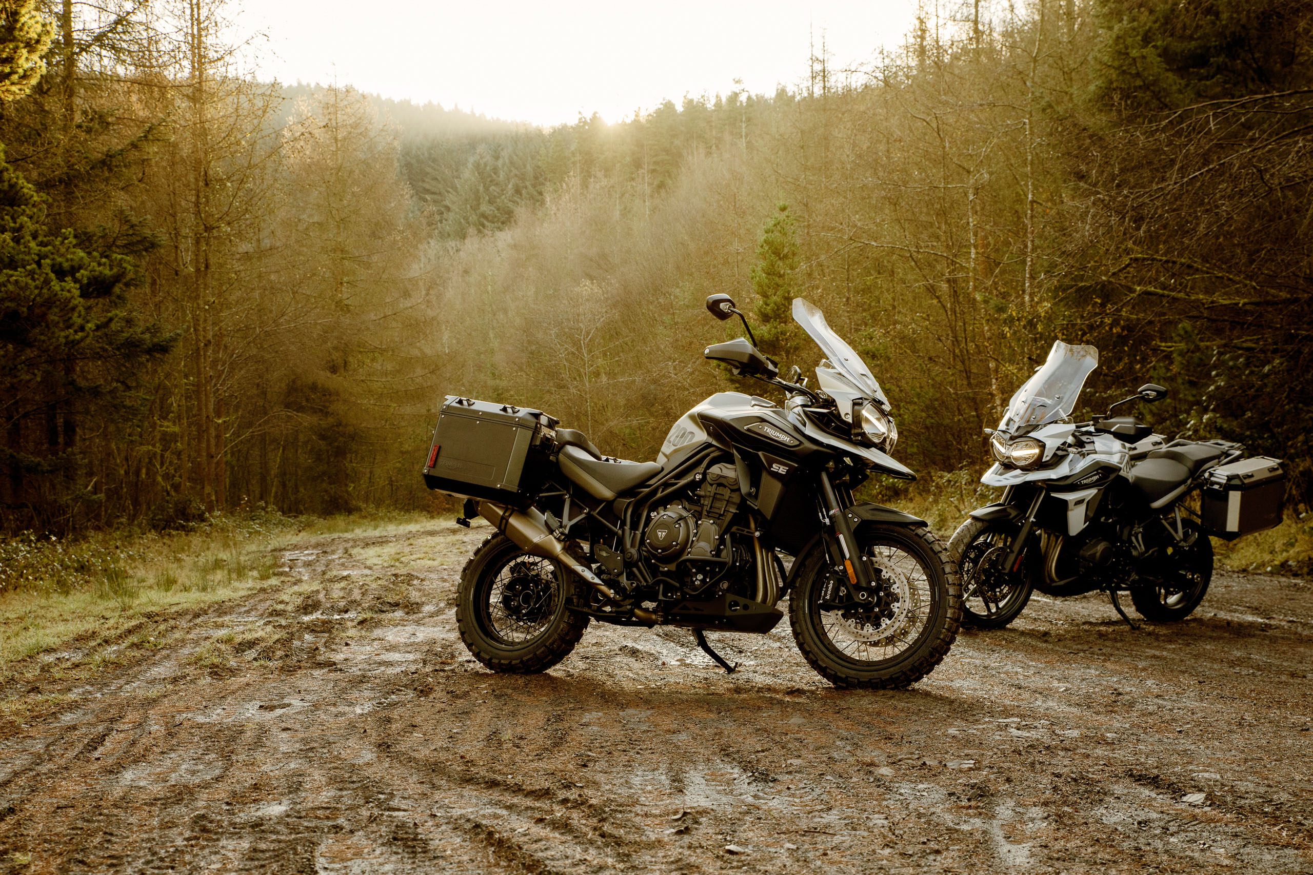 Triumph unveils 2020 Tiger 1200 Desert and Alpine editions - Motorcycle ...
