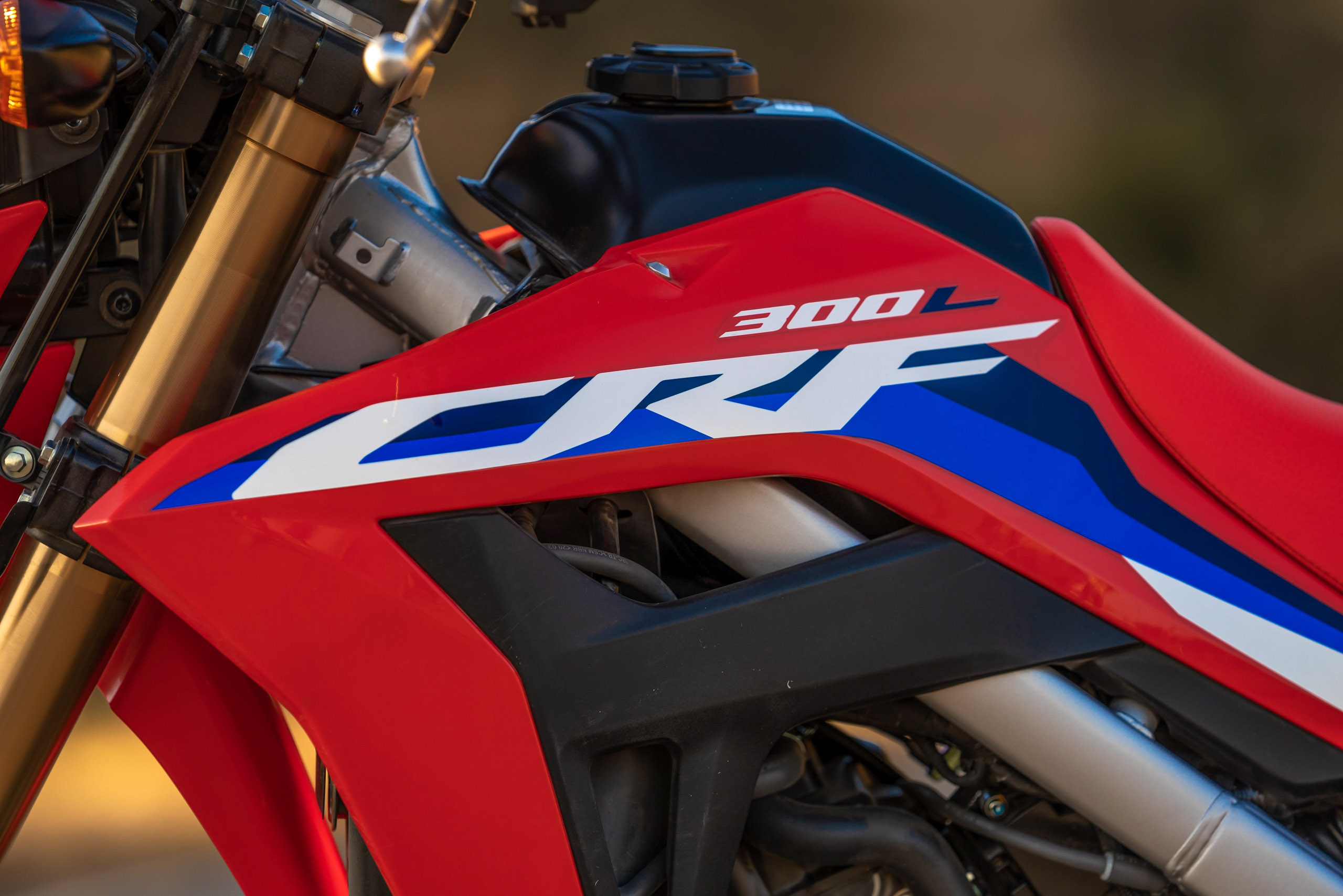 Honda CRF 300L/ Rally could arrive this month, starting at PhP259k ...